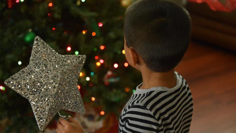 Kancsal plüssmacska a karácsonyfán? - BabaNet